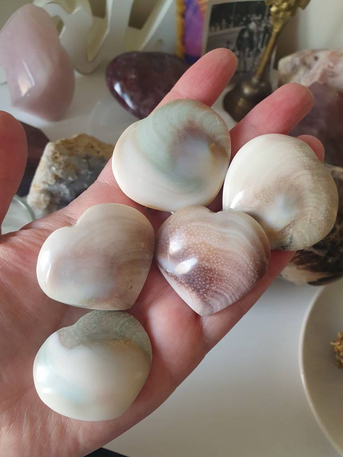 Shiva shell crystal hearts balan e your chakras crystals | Etsy