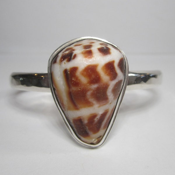 Natural Sea Shells - Etsy