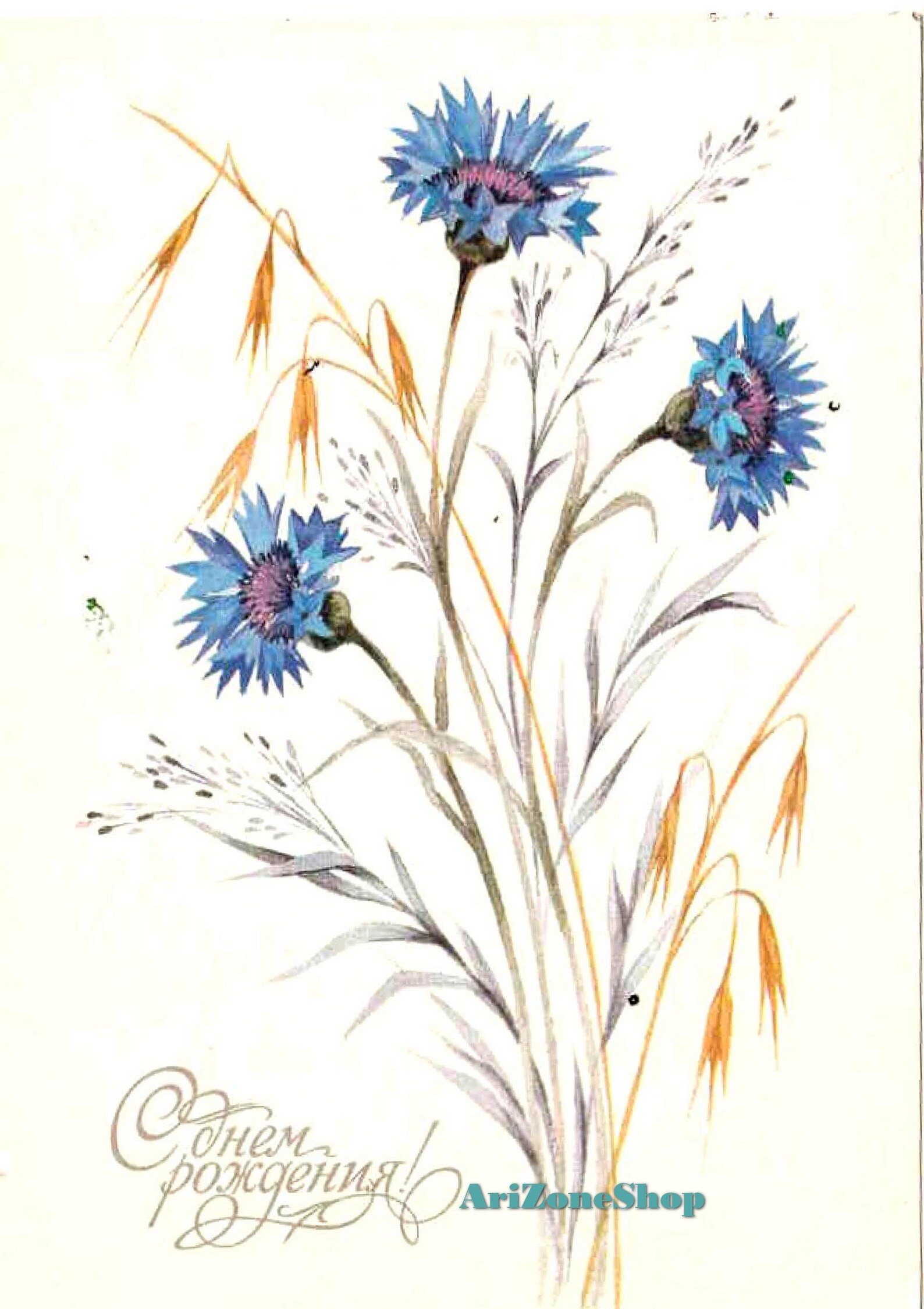 Set 2 Vintage blue flowers postcards Digital Printable JPEG | Etsy