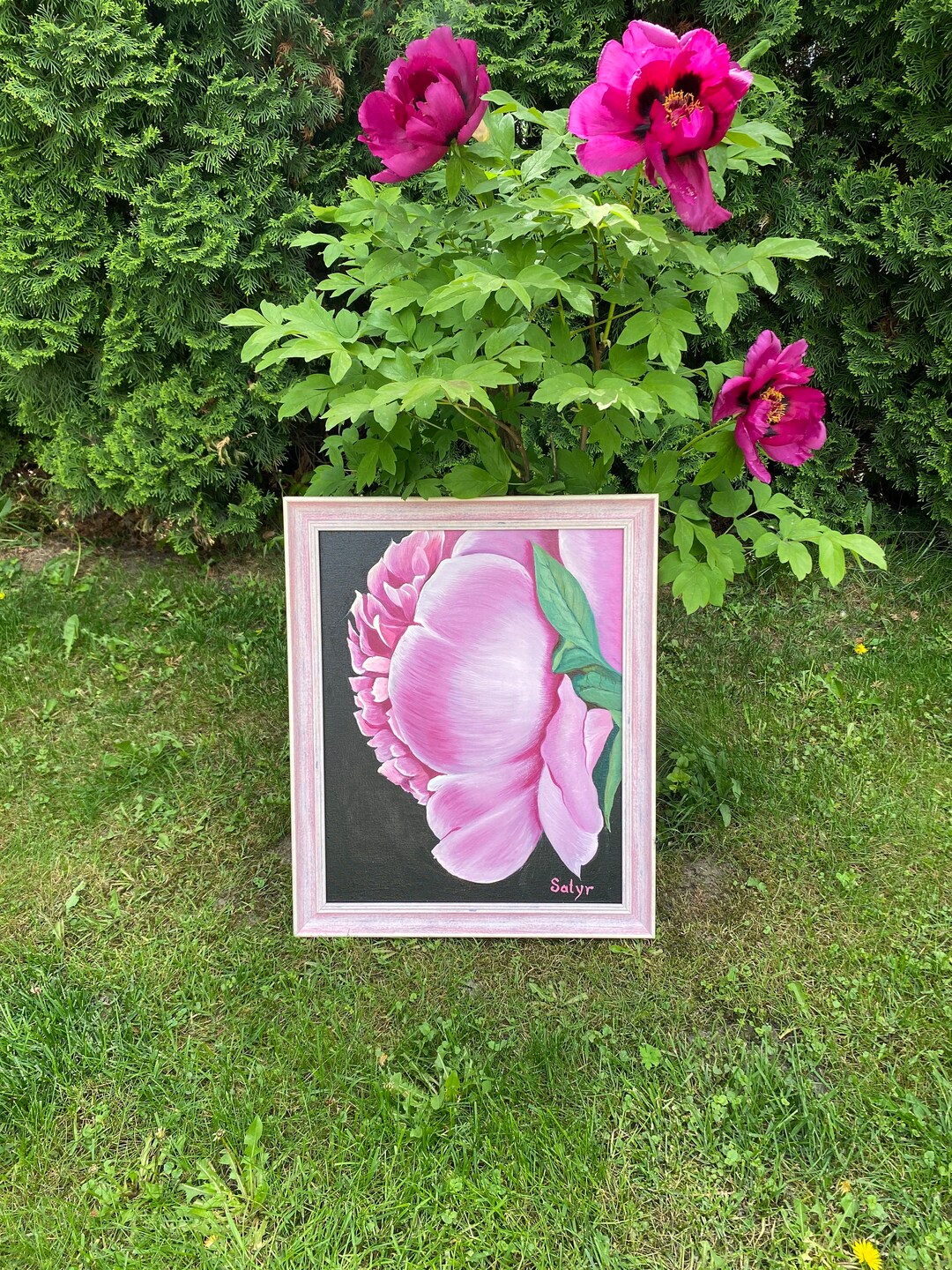 Pink Peony Painting, Floral Original Art, Flower Pink Oil Canvas Wall ...