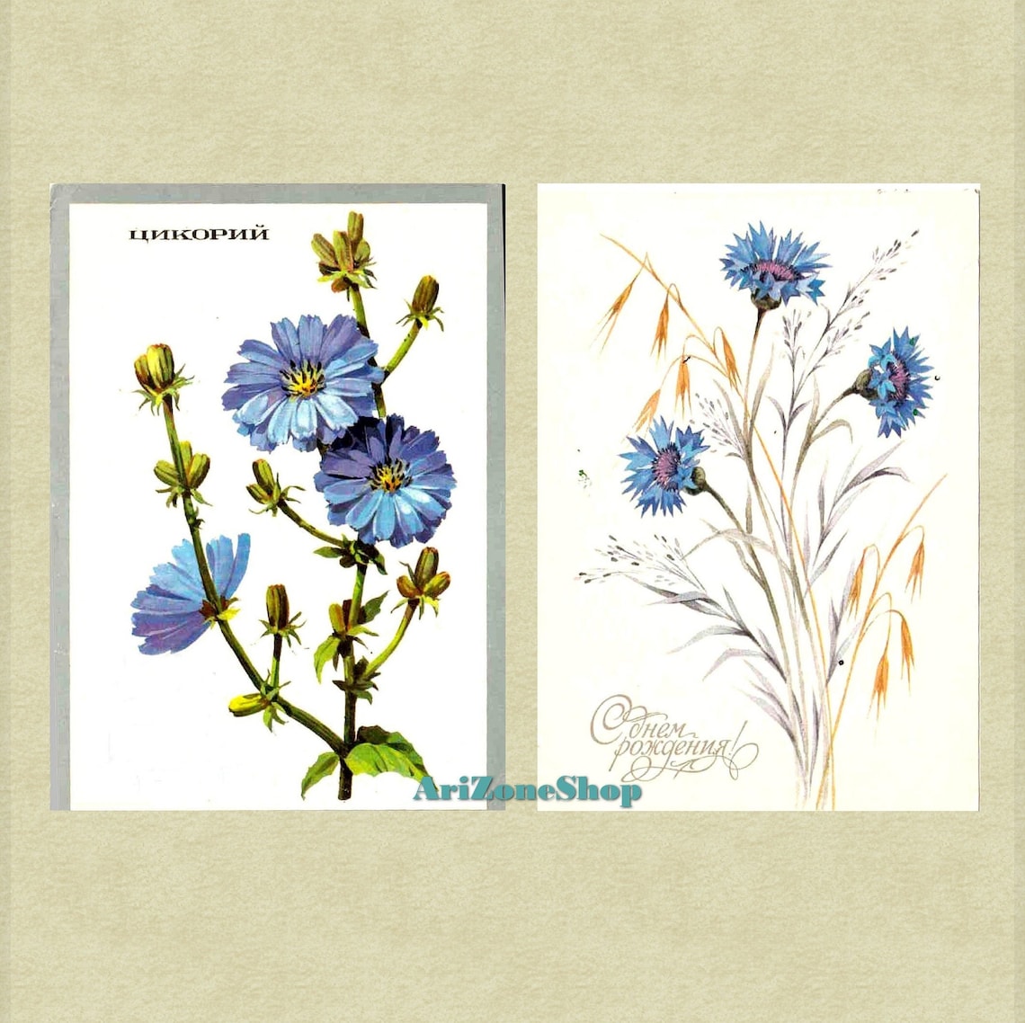 Set 2 Vintage Blue Flowers Postcards Digital Printable JPEG - Etsy
