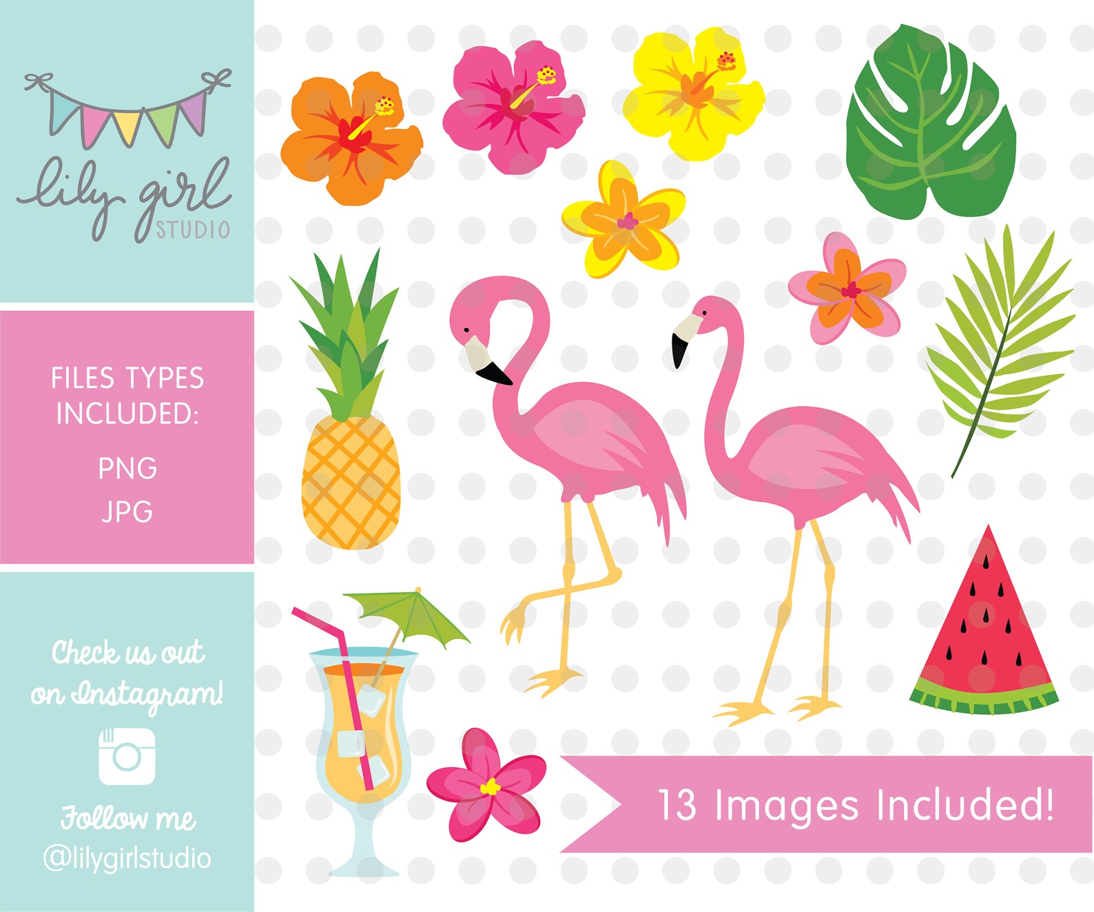 Tropical Summer Clipart Images PNG and JPG Files Clip Art - Etsy