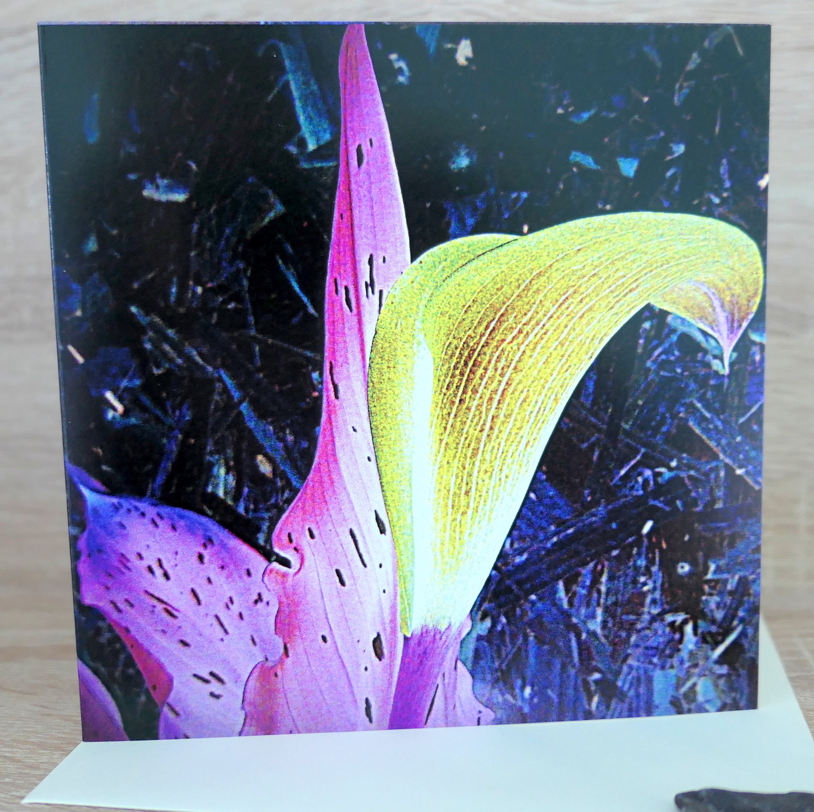 Lily, Birthday Card, Flower, Greetings Card, Garden. Yellow, Purple ...