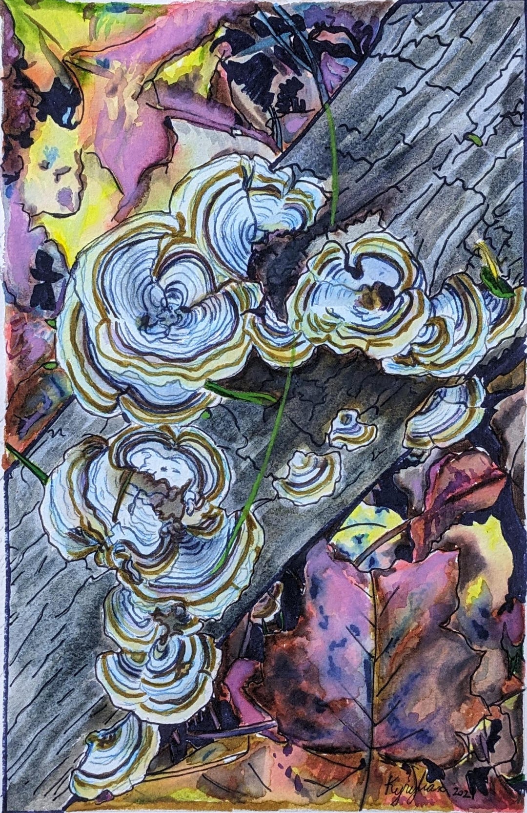 Fungi Watercolor Painting - Botanical Art Print, Nature Decor, Mycology ...