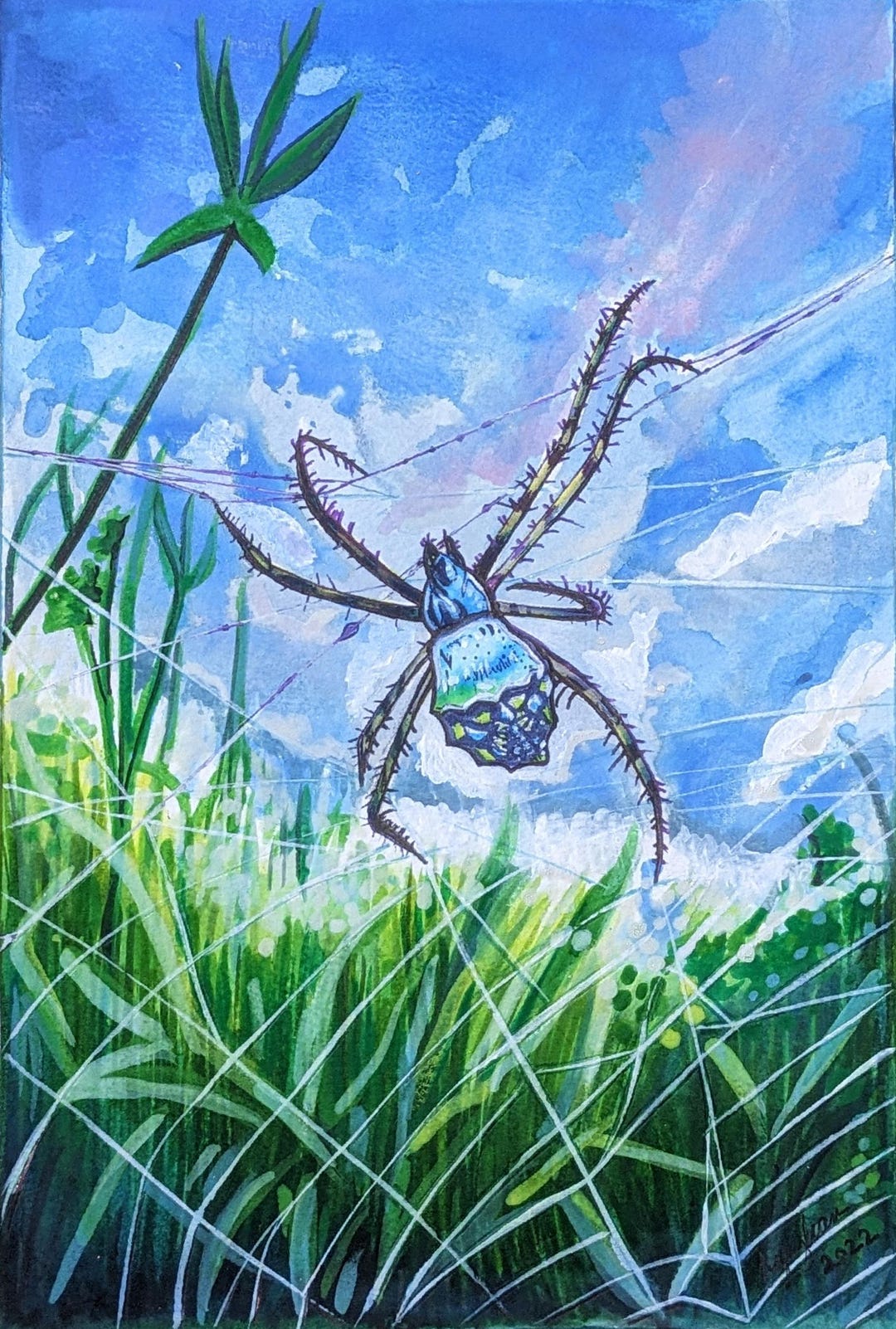 Blue Spider Web Art Print, Sky & Grass Illustration - Etsy