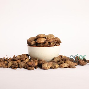 Kakrashingi pistacia Integerrima Kakra Singhi Kakra, Singhi ...