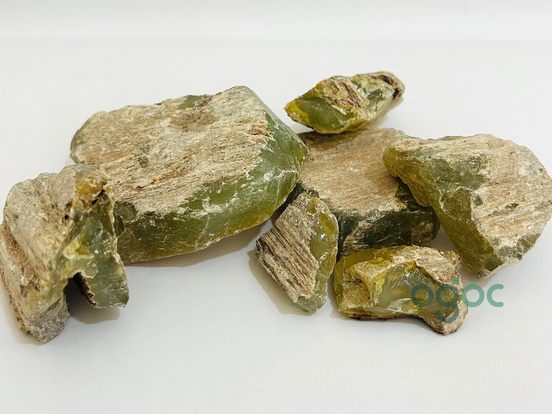 Sal Tree Resin Green Shorea Robusta Chenjalyam, Sal Dhoop for Incense ...