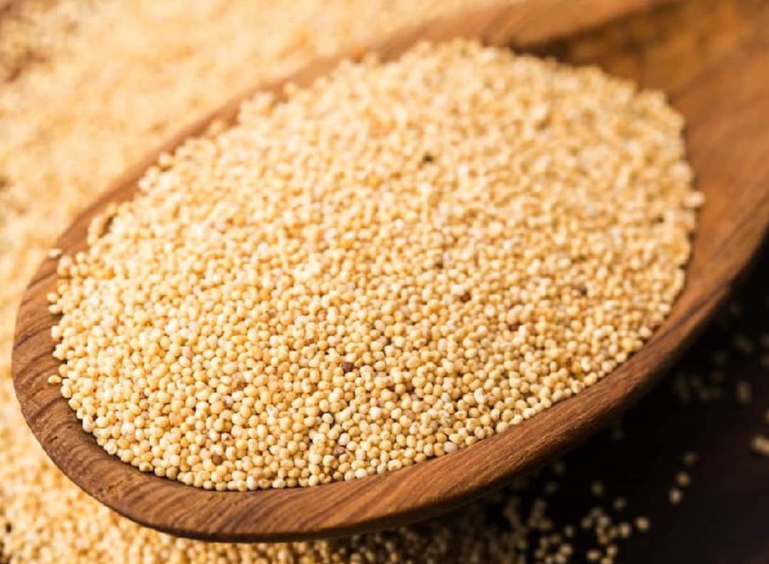 Poppy Seeds White Kaskas, Indian Poppy Seeds, Khus Khus, Gasagasalu ...