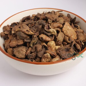 Kakrashingi pistacia Integerrima Kakra Singhi Kakra, Singhi ...