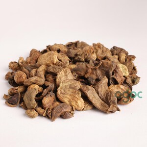 Kakrashingi pistacia Integerrima Kakra Singhi Kakra, Singhi ...