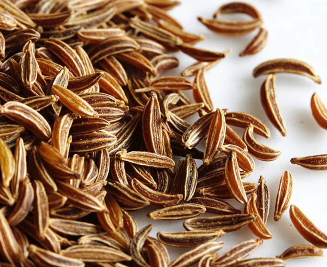 Premium Caraway Seeds: Whole Jeera, Shahi Jeera, Meridian Fennel, Persian Cumin, Shahjeera, Shah ...