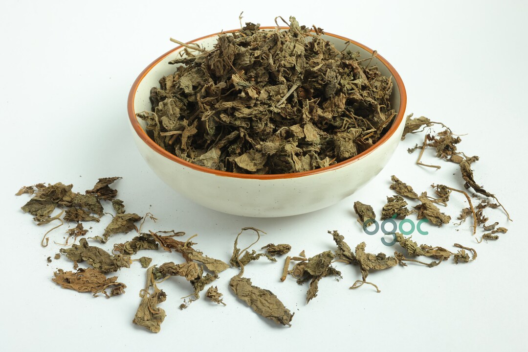 Pachila patchouli Leaves Pogostemon Cablin, Aromatic Herb for ...