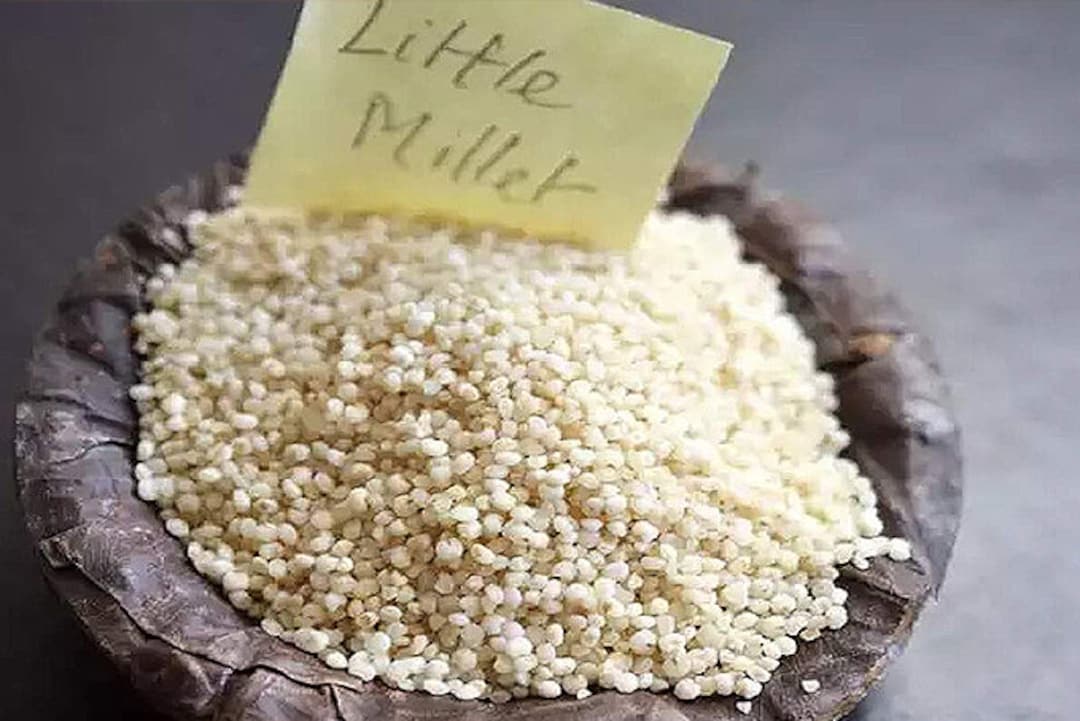 Sama Rice 200 Grams Barnyard Millet Vari Sama for Fast - Etsy