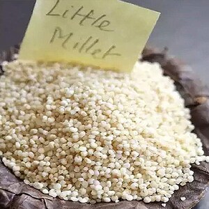 Sama Rice 200 Grams Barnyard Millet Vari Sama for Fast - Etsy