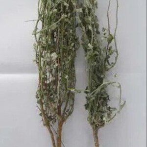 Neotea Aerva Lanata Powder CHERULA Organic Herbal Blend for Traditional ...