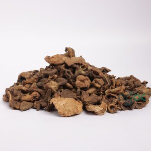 Kakrashingi pistacia Integerrima Kakra Singhi Kakra, Singhi ...