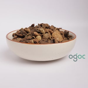 Kakrashingi pistacia Integerrima Kakra Singhi Kakra, Singhi ...