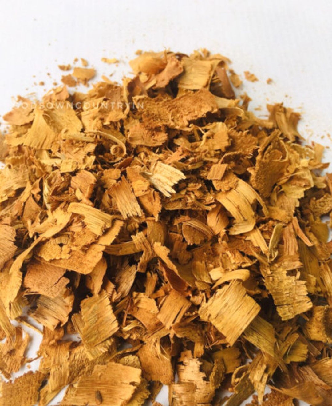 Indian Kino Tree Venga Kathal Pterocarpus Marsupium - Etsy Singapore