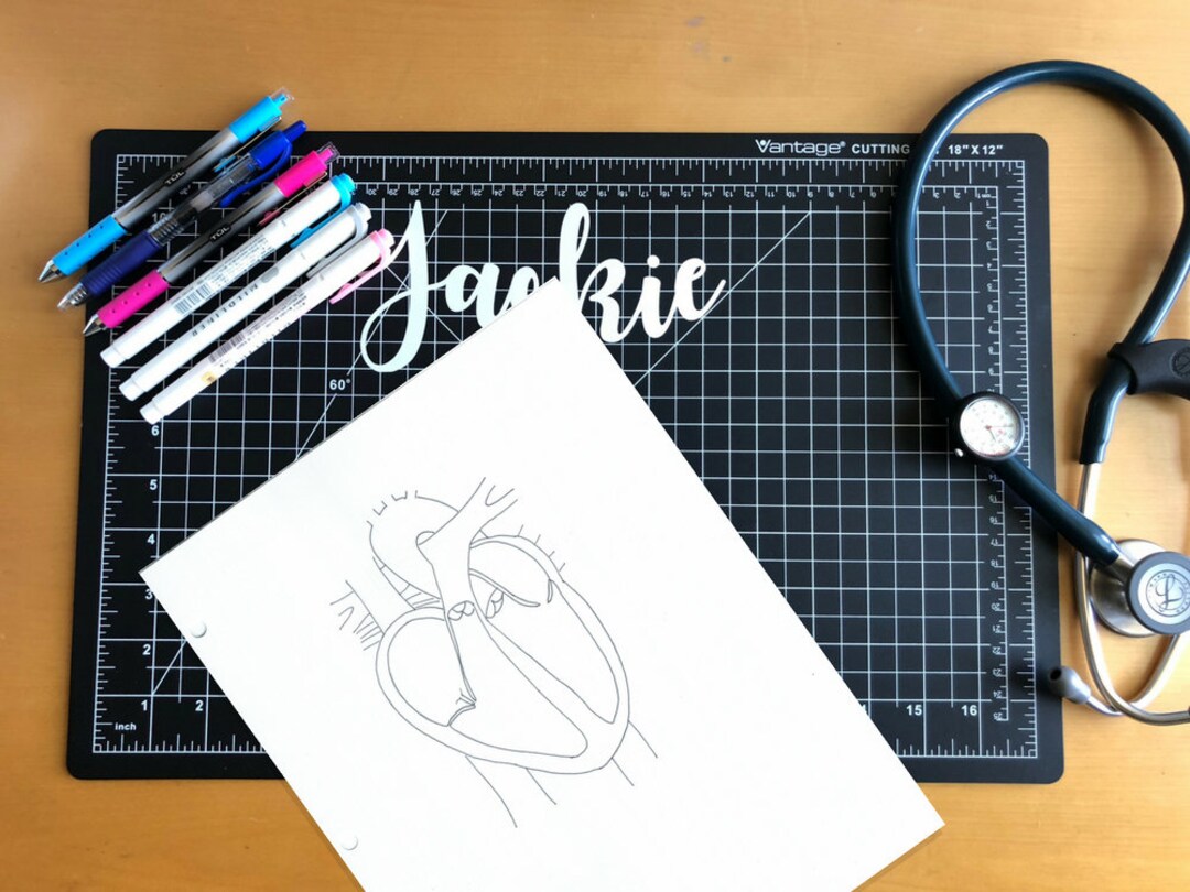 Human Heart Anatomy- Medical Notes Outline - Etsy