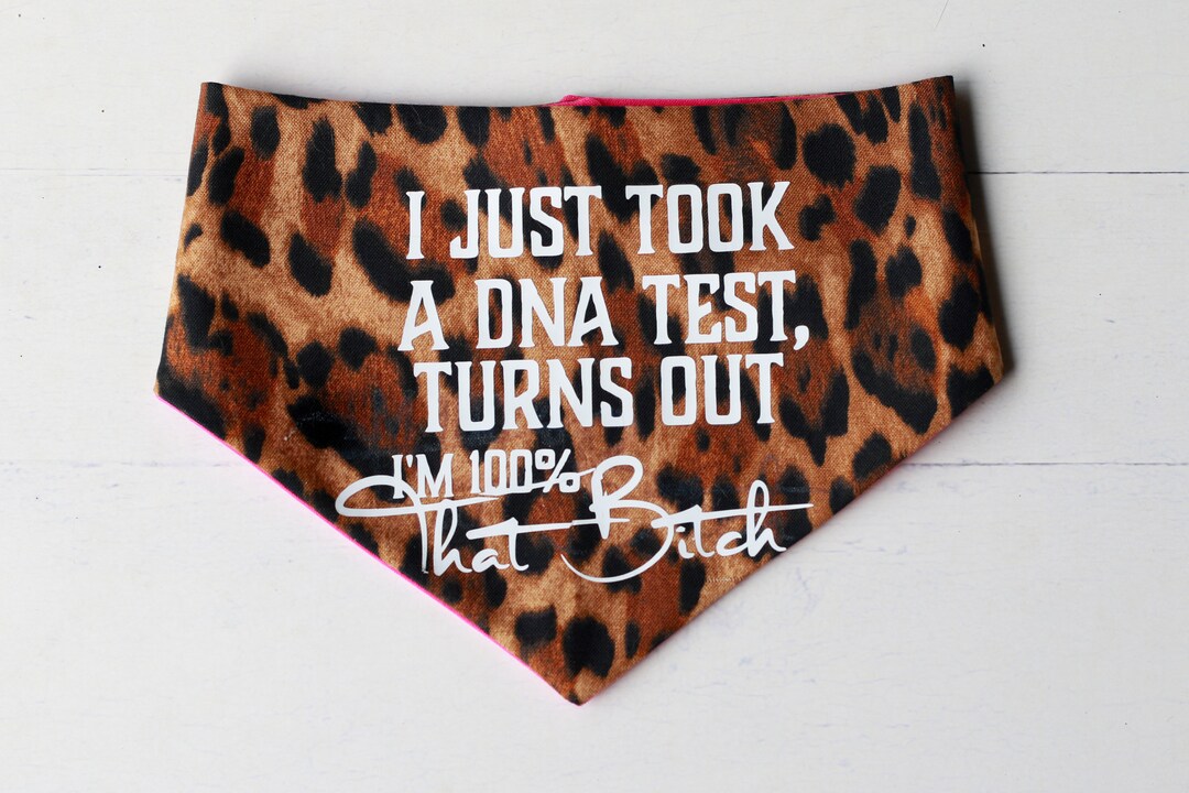 Lizzo Dog Bandana, Truth Hurts Lyrics, Pet Bandana, Leopard Print ...