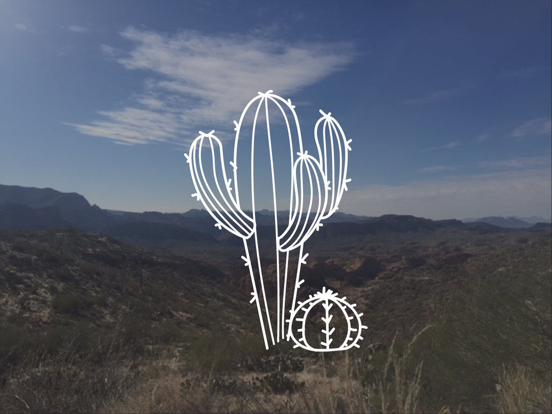 Cactus Decal / Desert / Custom Vinyl / Desert Dweller / Vinyl Designs ...