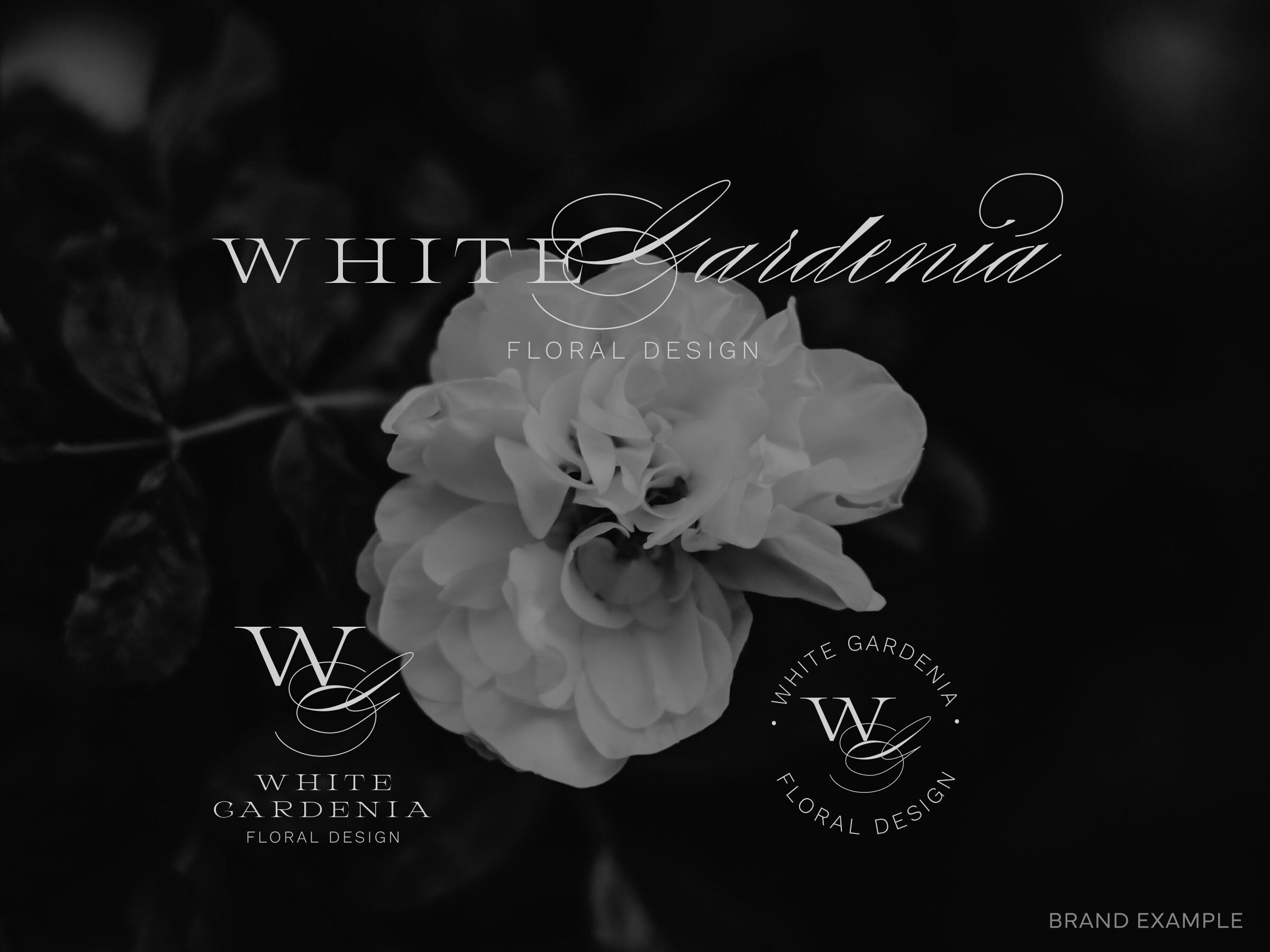 Birch Lane Logo Suite Semi Custom Logo Design Unique Brand Kit ...