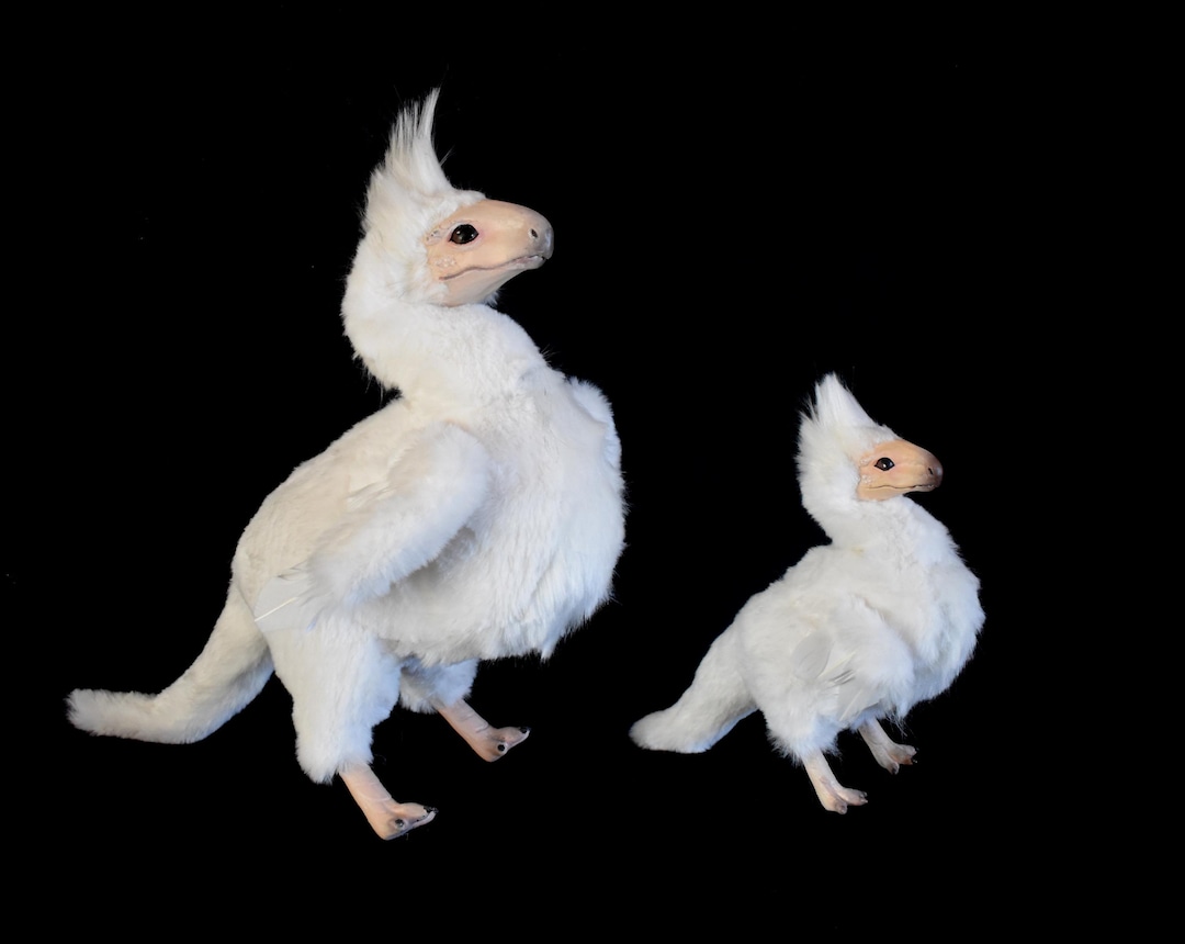 Monster Hunter Baby Seikret Poseable Artdoll - Etsy