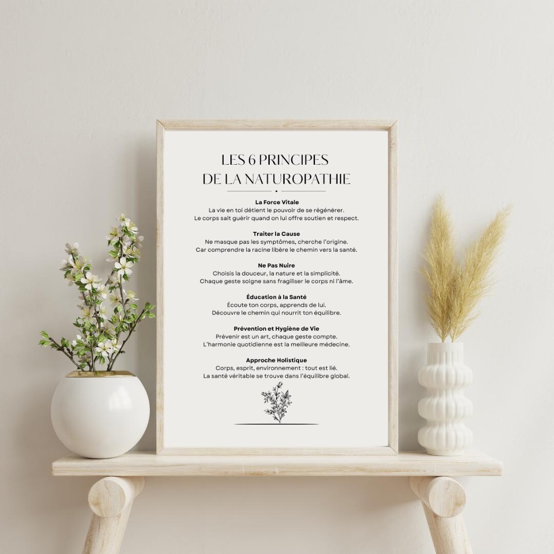 Naturopathy Poster – 6 Principles – Well-being and Harmony – A4 and A5 ...