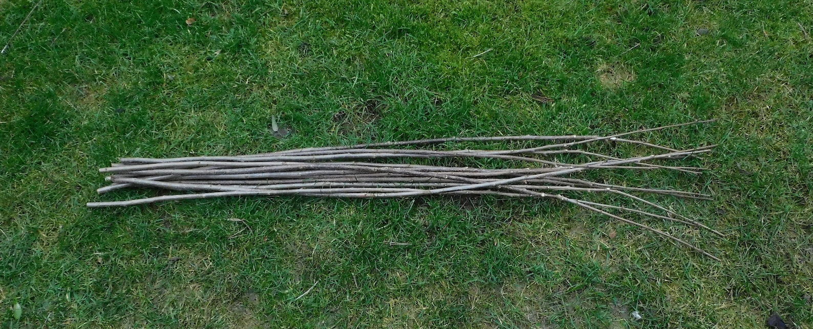 Organic Hazel Sticks Whips for Crafting Basketry Weaving Floristry Wand ...