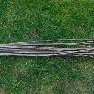 Organic Hazel Sticks Whips for Crafting Basketry Weaving Floristry Wand ...