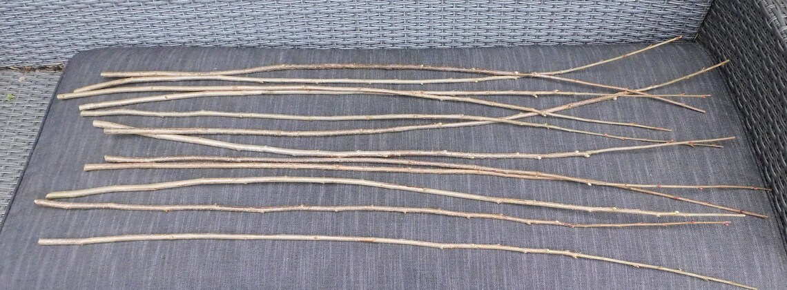 Organic Hazel Sticks Whips for Crafting Basketry Weaving Floristry Wand ...