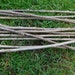 Organic Hazel Sticks Whips for Crafting Basketry Weaving Floristry Wand ...