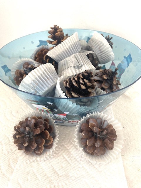 Pine Cone Fire Pit Fire Starters, Bundle of 30 Camping Magic Color ...