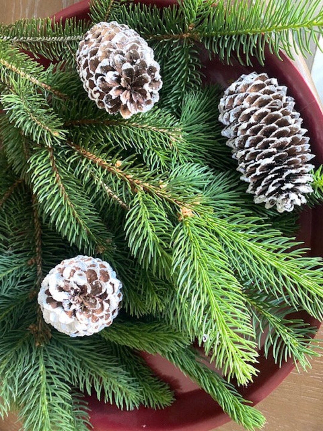 Snowy Spruce Cones, Lot of 50 Snowy Cones for Crafting, Snow Covered ...