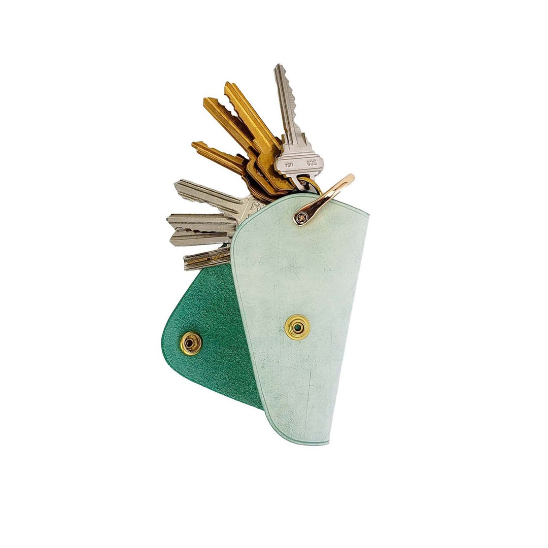 Mint mango Car Fob Case Chic and Durable Key Pouch, Car Accessory for ...