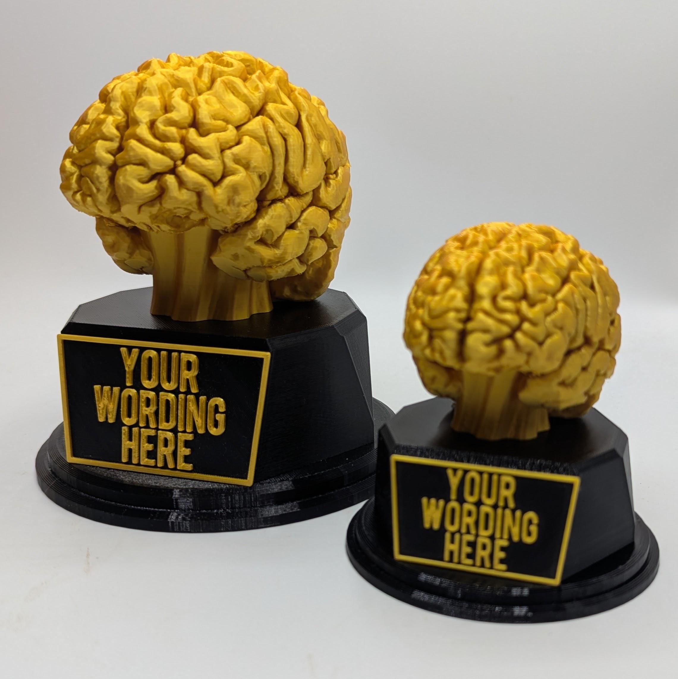 Personalised Brain Trophy, Big Brain Trophy, Best Quizzer Trophy ...