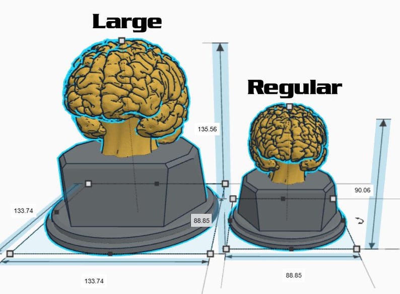 Personalised Brain Trophy, Big Brain Trophy, Best Quizzer Trophy ...