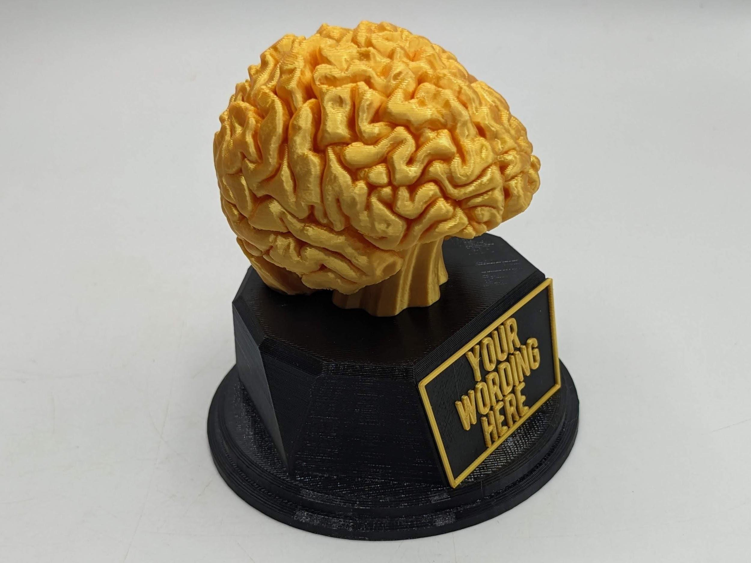 Personalised Brain Trophy, Big Brain Trophy, Best Quizzer Trophy ...