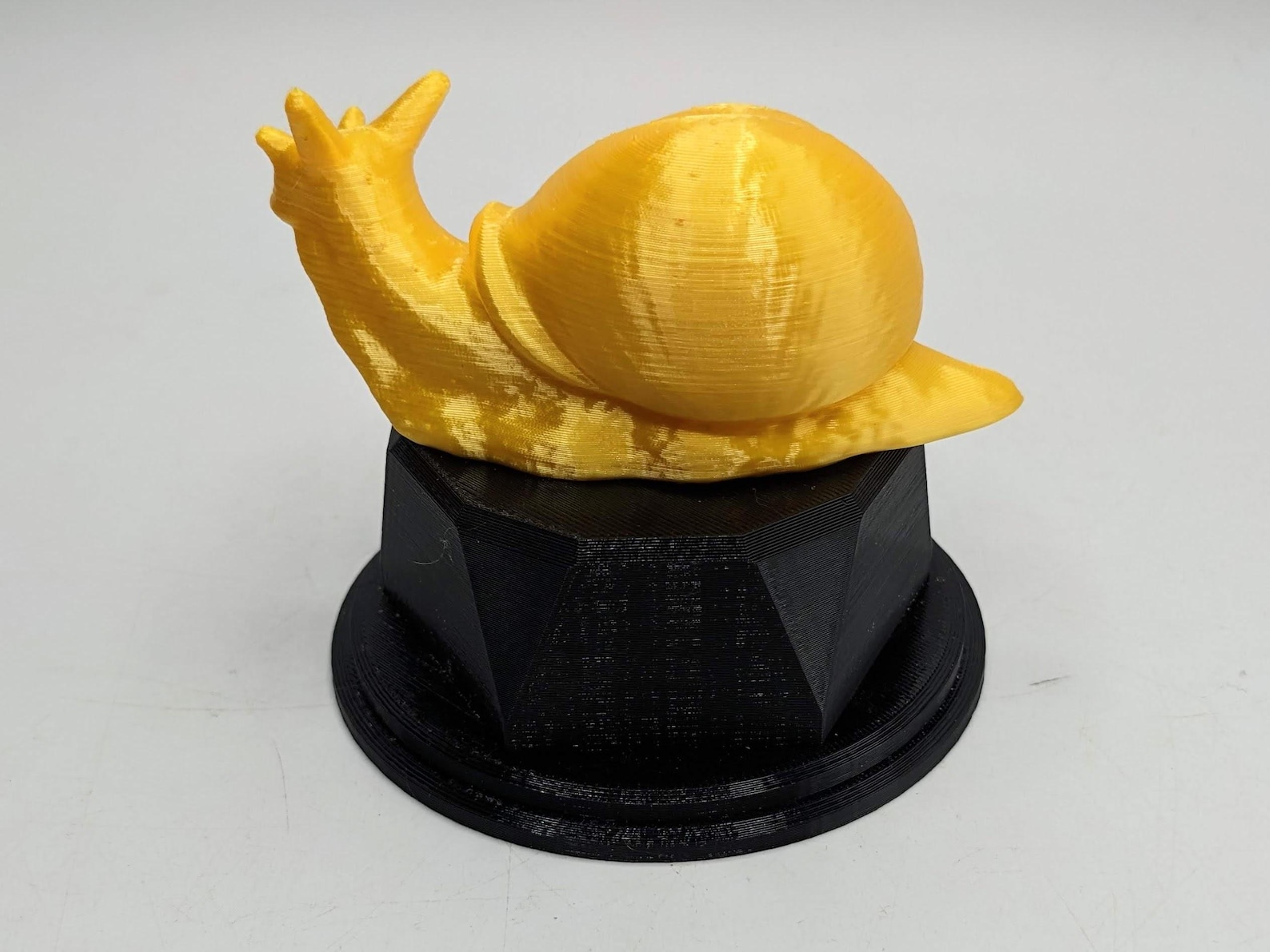 Personalised Snail Trophy / Snail Trophy / Slowest Person Award / Slow ...