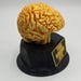 Personalised Brain Trophy, Big Brain Trophy, Best Quizzer Trophy ...