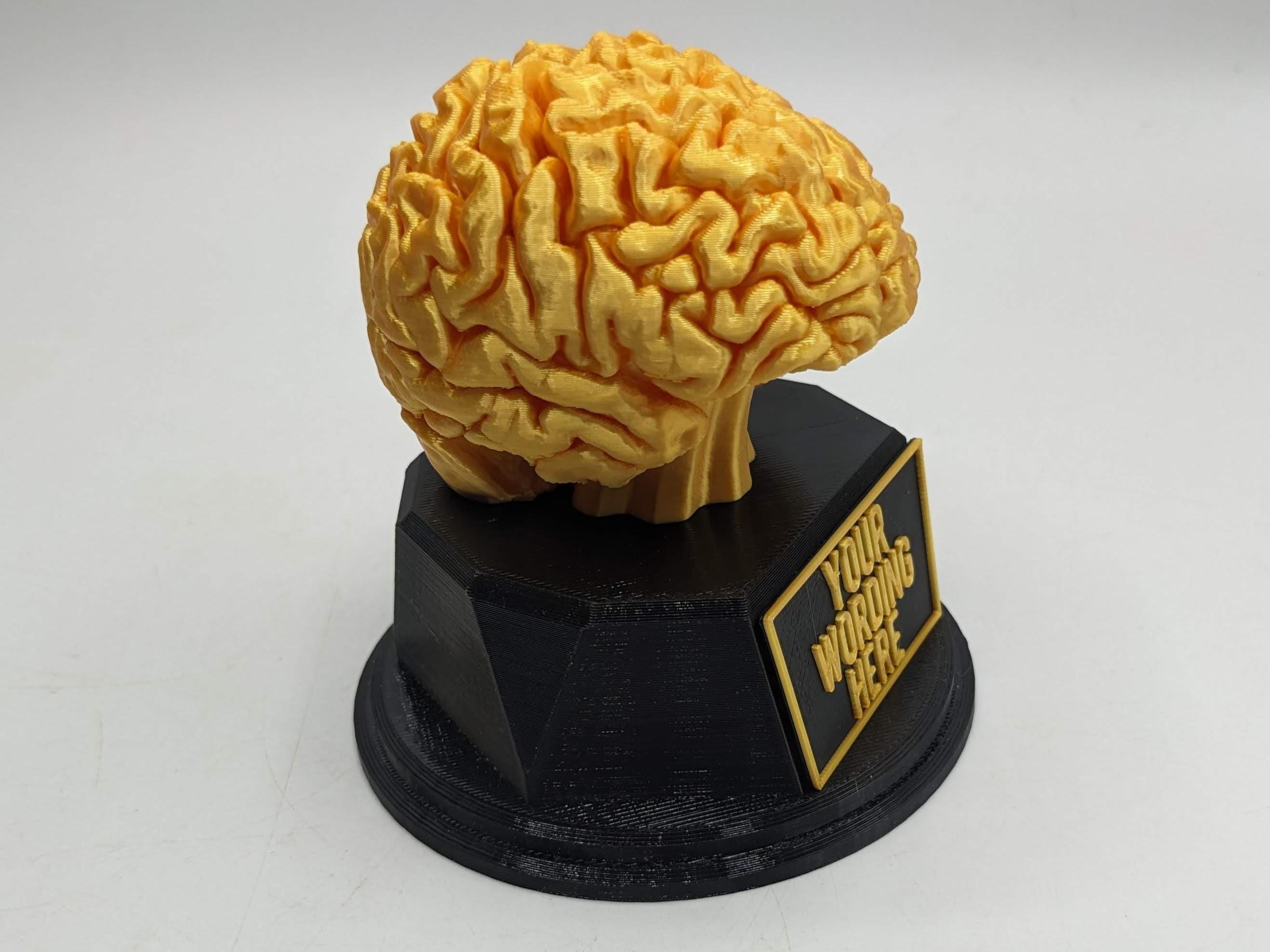Personalised Brain Trophy, Big Brain Trophy, Best Quizzer Trophy ...