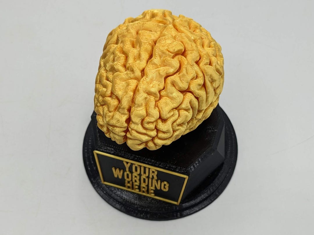 Personalised Brain Trophy, Big Brain Trophy, Best Quizzer Trophy ...