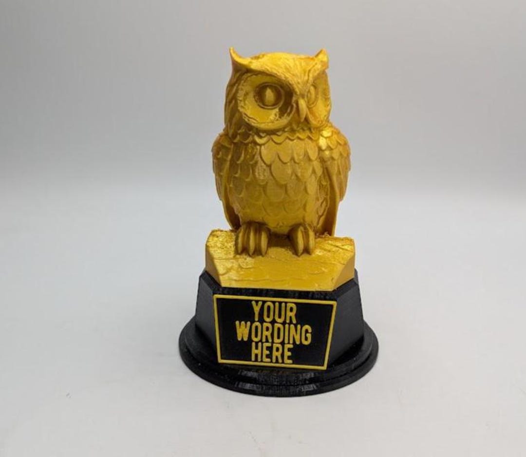 Personalised Owl Trophy, Owl Award Trophy, Owl Lover Gift, Custom ...