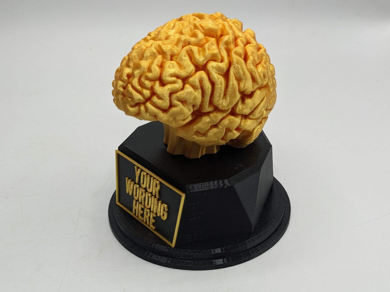 Personalised Brain Trophy, Big Brain Trophy, Best Quizzer Trophy ...