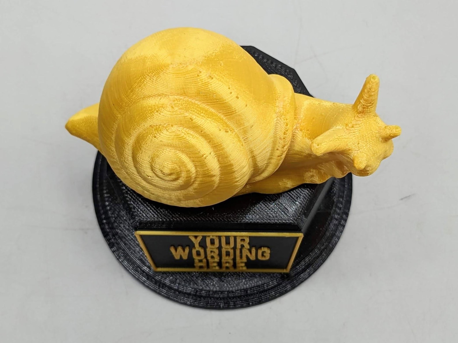 Personalised Snail Trophy / Snail Trophy / Slowest Person Award / Slow ...