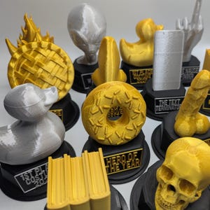 Personalised Custom Trophy, Design Your Own Trophy, Fun Office Award ...