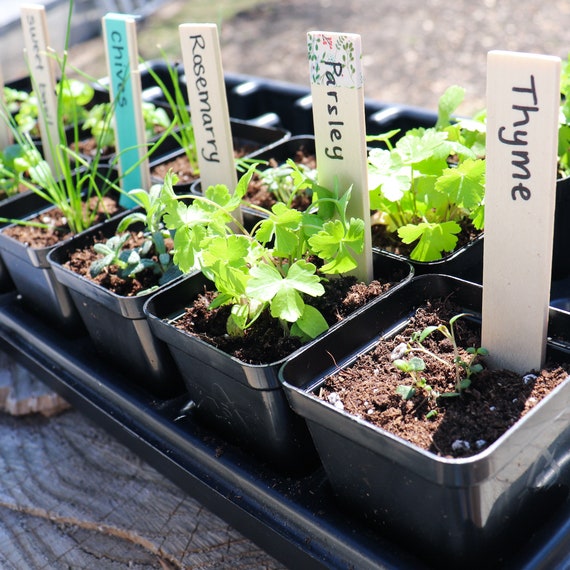 Garden Labeling Kit - Etsy