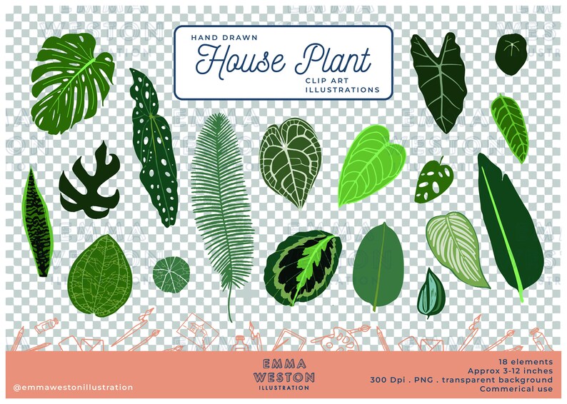 House Plant Clipart - House Plant Leaves Digital Illustration - Jungle ...