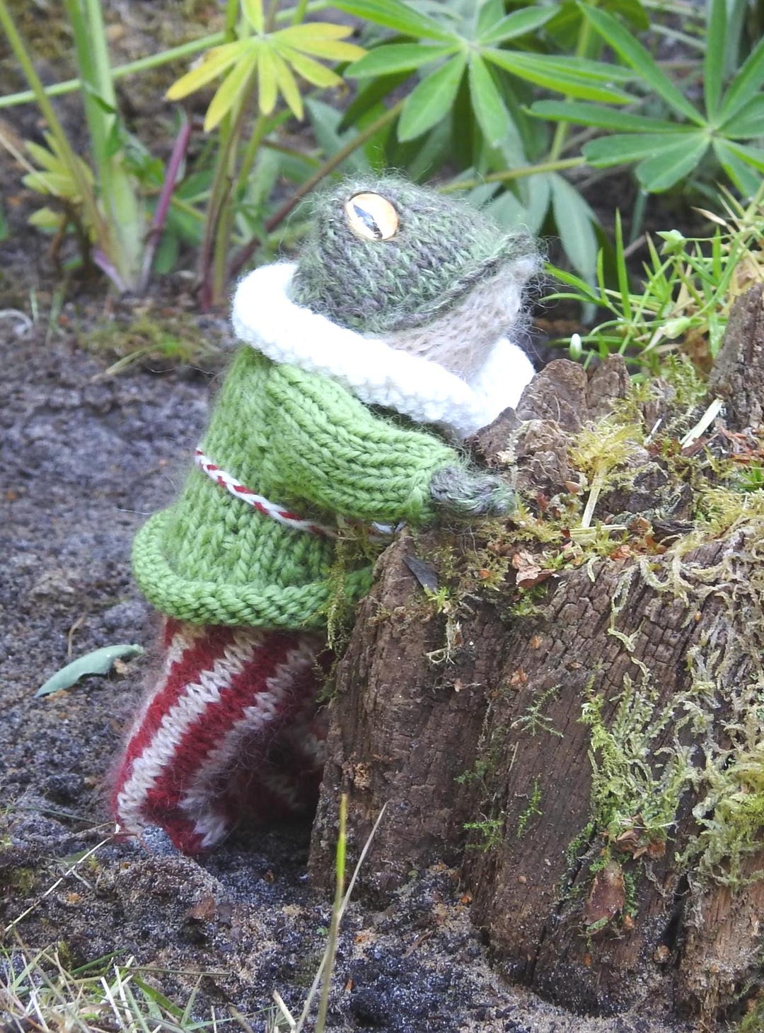 Hand Knitted Toad of Toad Hall Wind in the Willows - Etsy