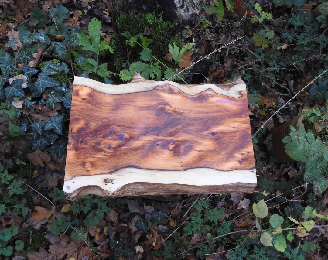 Handcrafted Yew Live Edge Cheese Board, Charcuterie, or Display - Etsy